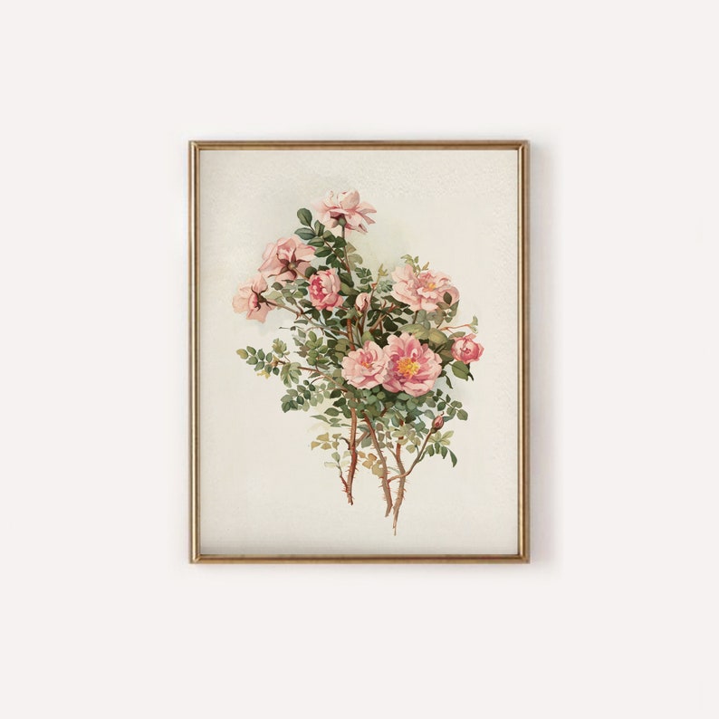 Pink Roses Print Set: Vintage English Cottage Art (digital Download) - Etsy