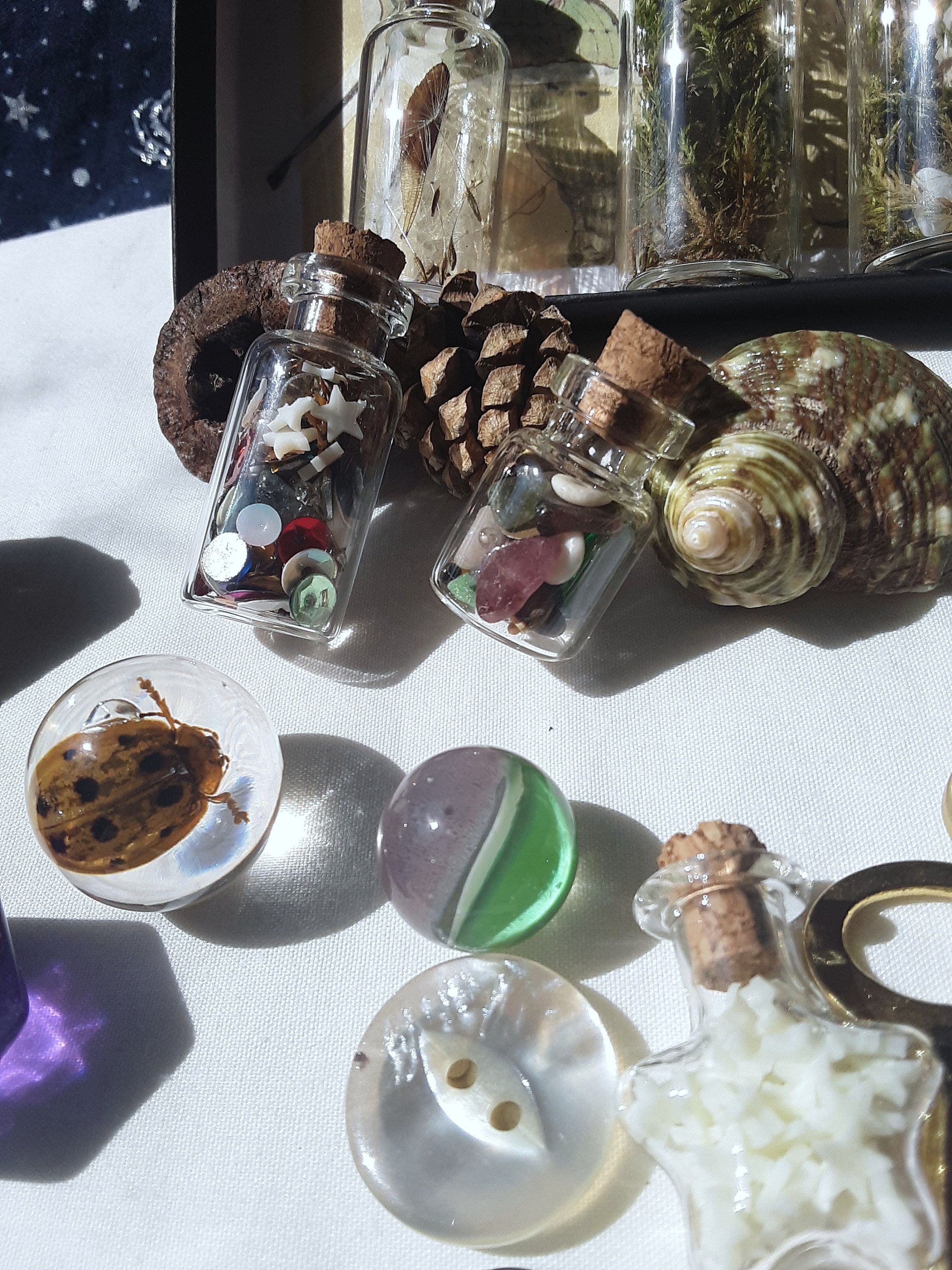 The Forest Fox Ravencore Themed Corvid Curio Box - Etsy