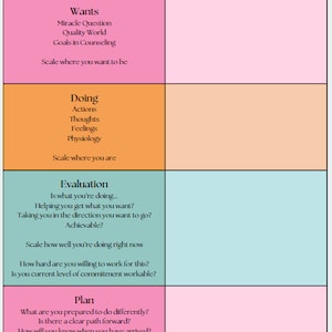 Reality Therapy WDEP Worksheet + BIRP Note Template - Etsy