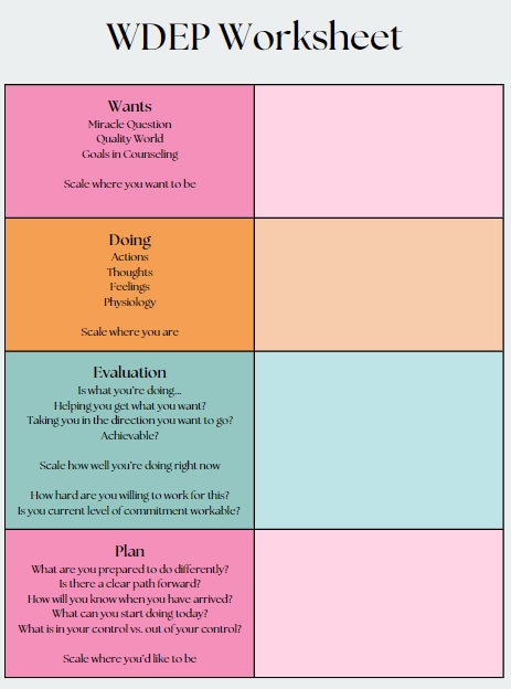 Reality Therapy WDEP Worksheet + BIRP Note Template - Etsy