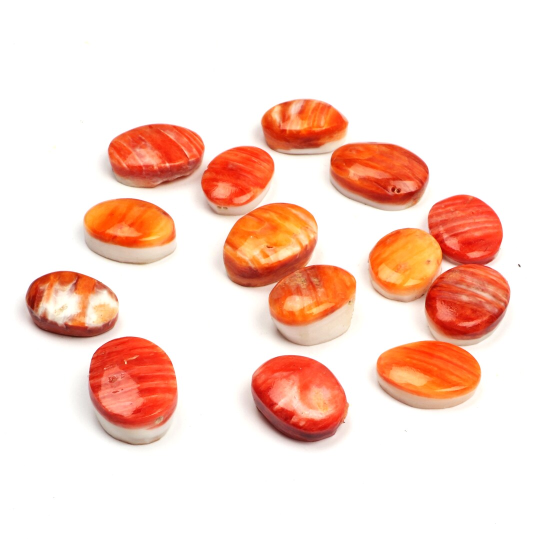 Orange Spiny Shell Cabochon : Oval Conch Shells 129 Carat Lot 10x13 ...