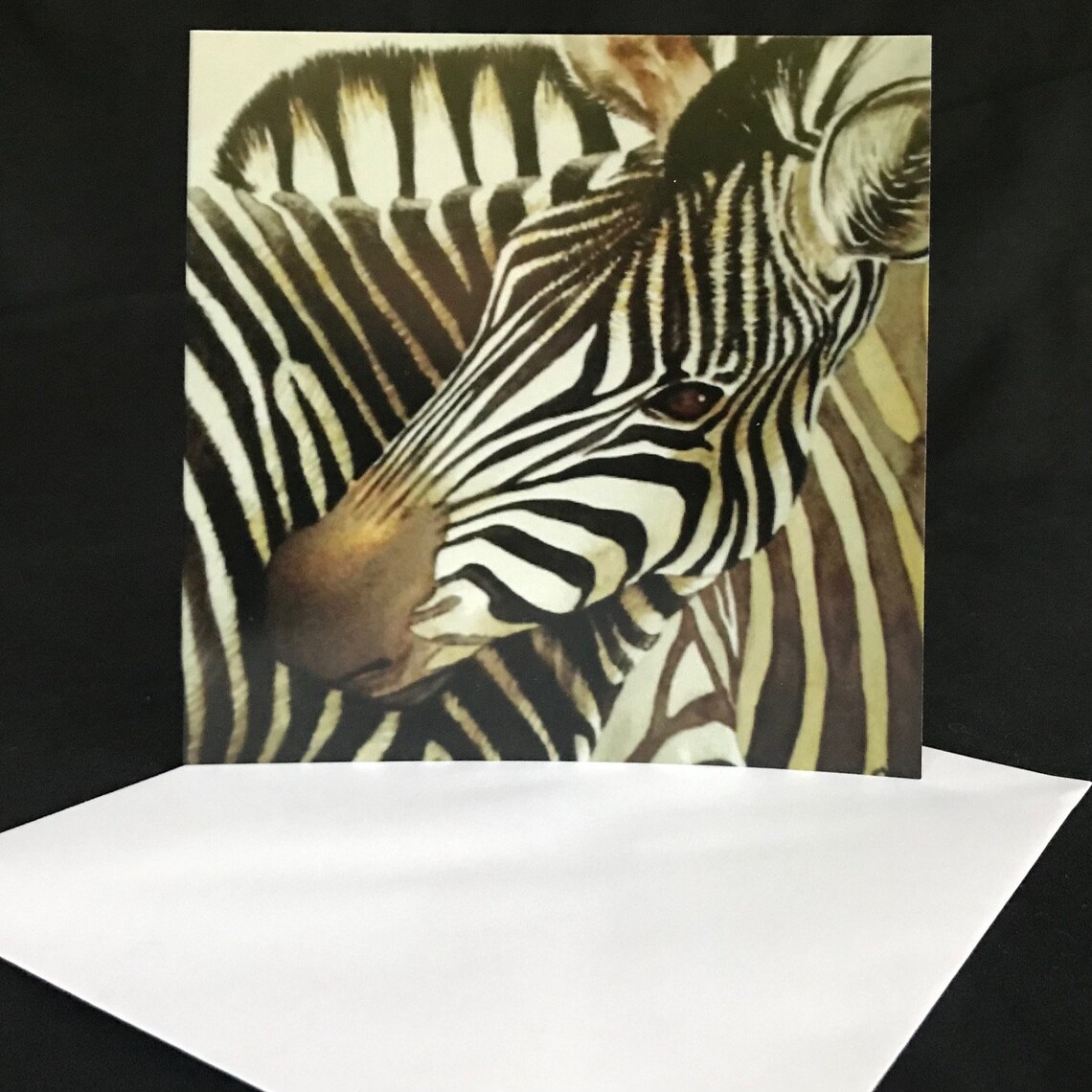 Unique Black and White, Stripey Markings on Zebra Create Beautiful ...
