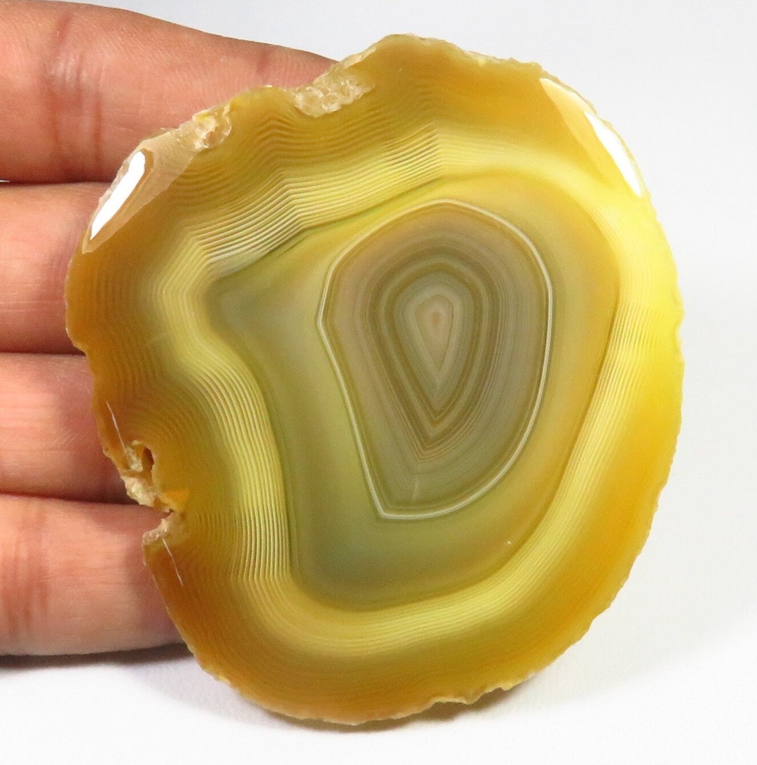 Natural Slice Geode Agate Cabochon Slice, 64x57 Mm, 190 Cts, Brown ...
