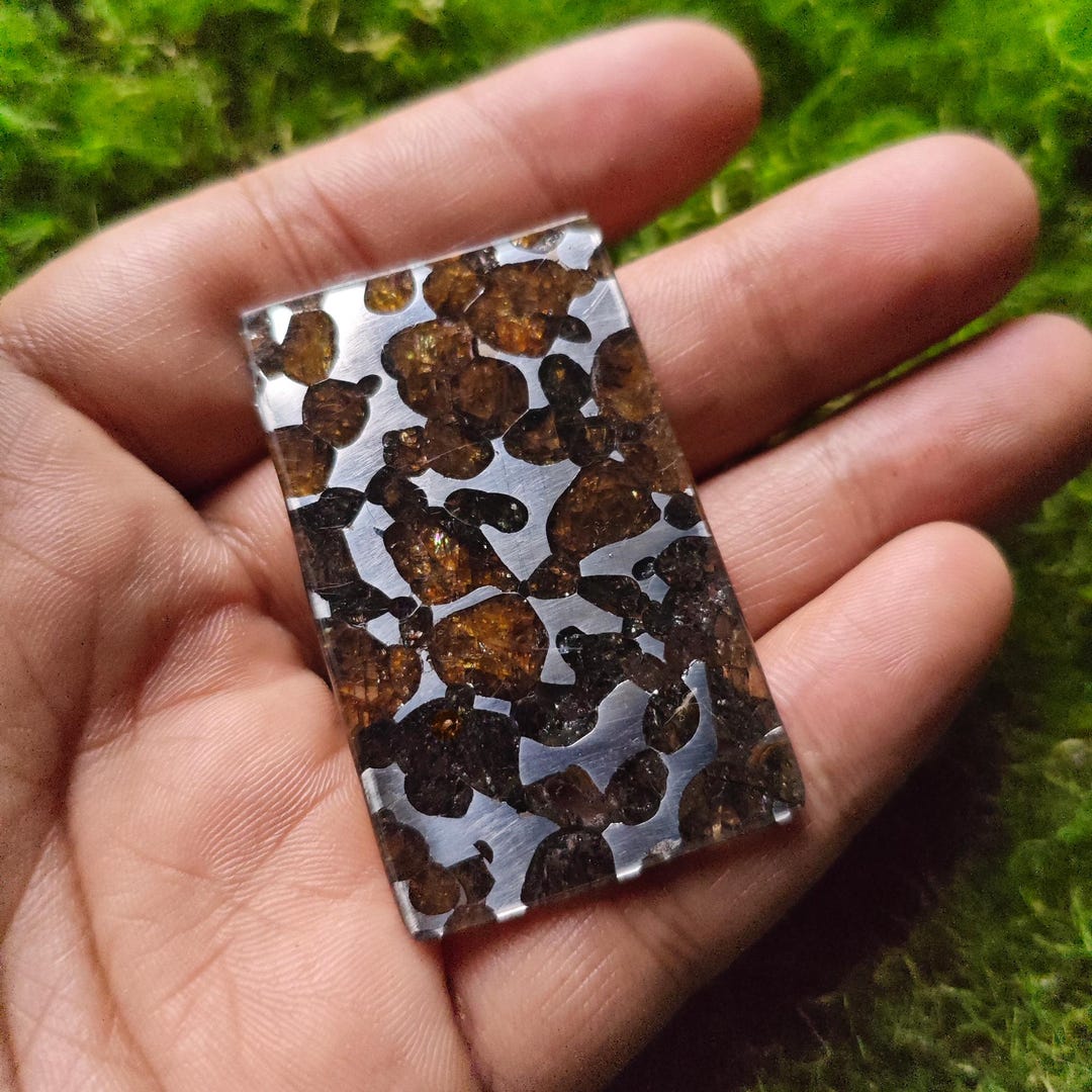 Sericho Pallasite Meteorite Slice (kenya) – Authentic African Meteorite ...