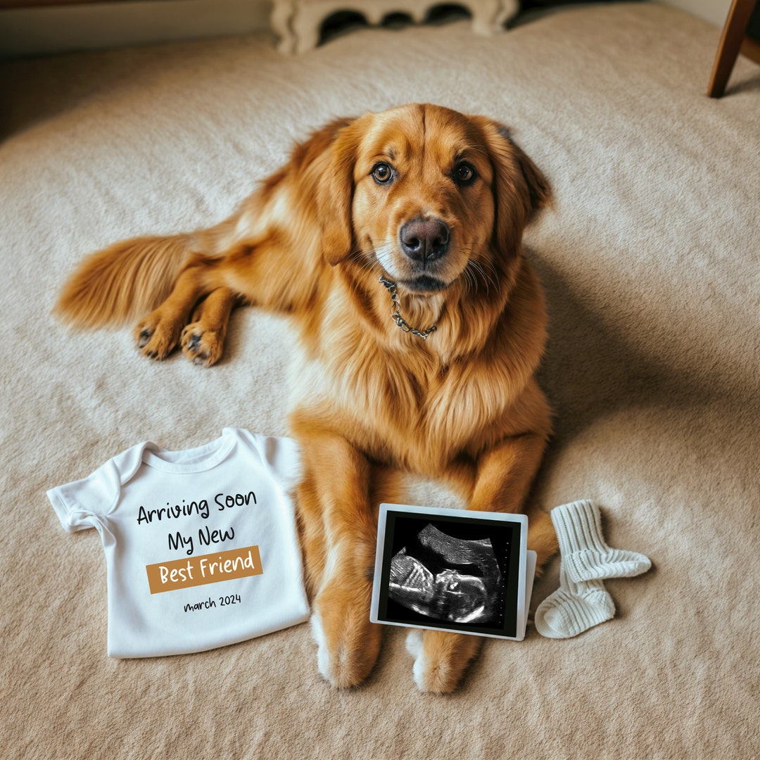 Golden Retriever New Best Friend Baby Announcement Template, Canva ...