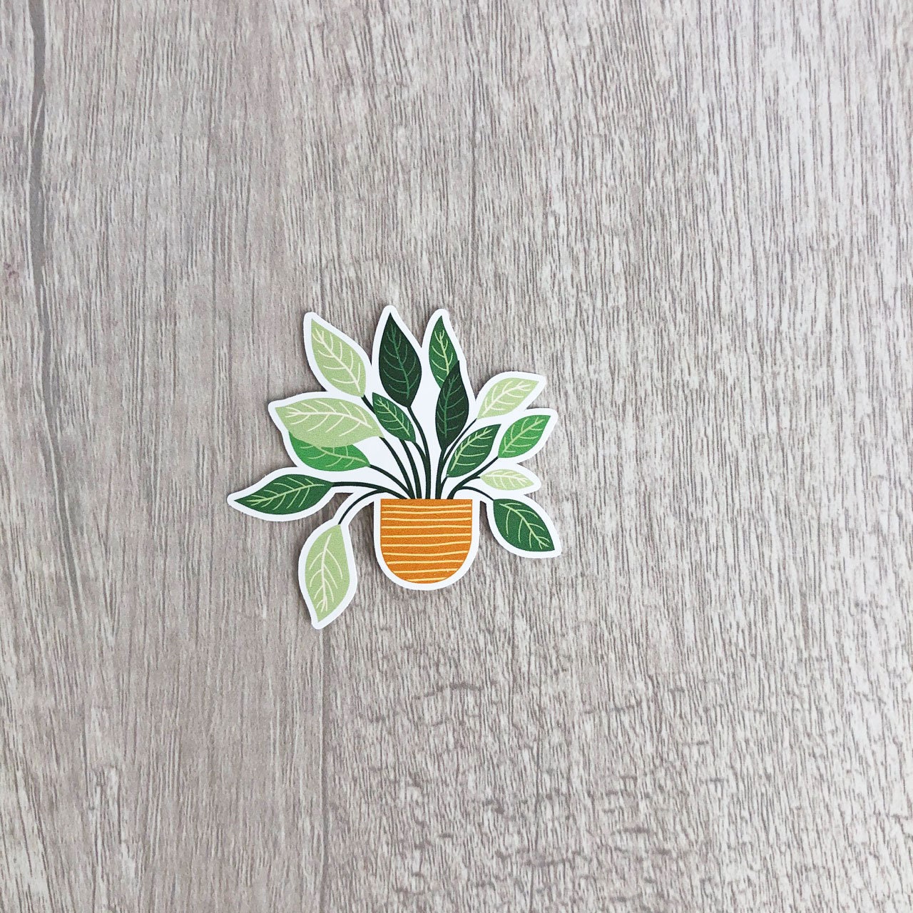 Plant Sticker House Plant Sticker Gift for Plant Lover | Etsy