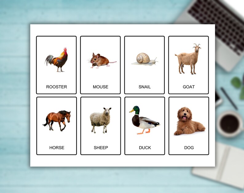 Printable Farm Animals Flash Cards | Montessori Cards | 24 Nomenclature ...