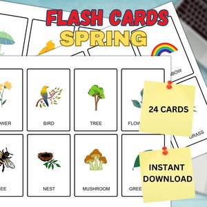 Printable Spring Flash Cards | Montessori Cards | 24 Nomenclature Flash ...