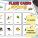 Printable Spring Flash Cards | Montessori Cards | 24 Nomenclature Flash ...