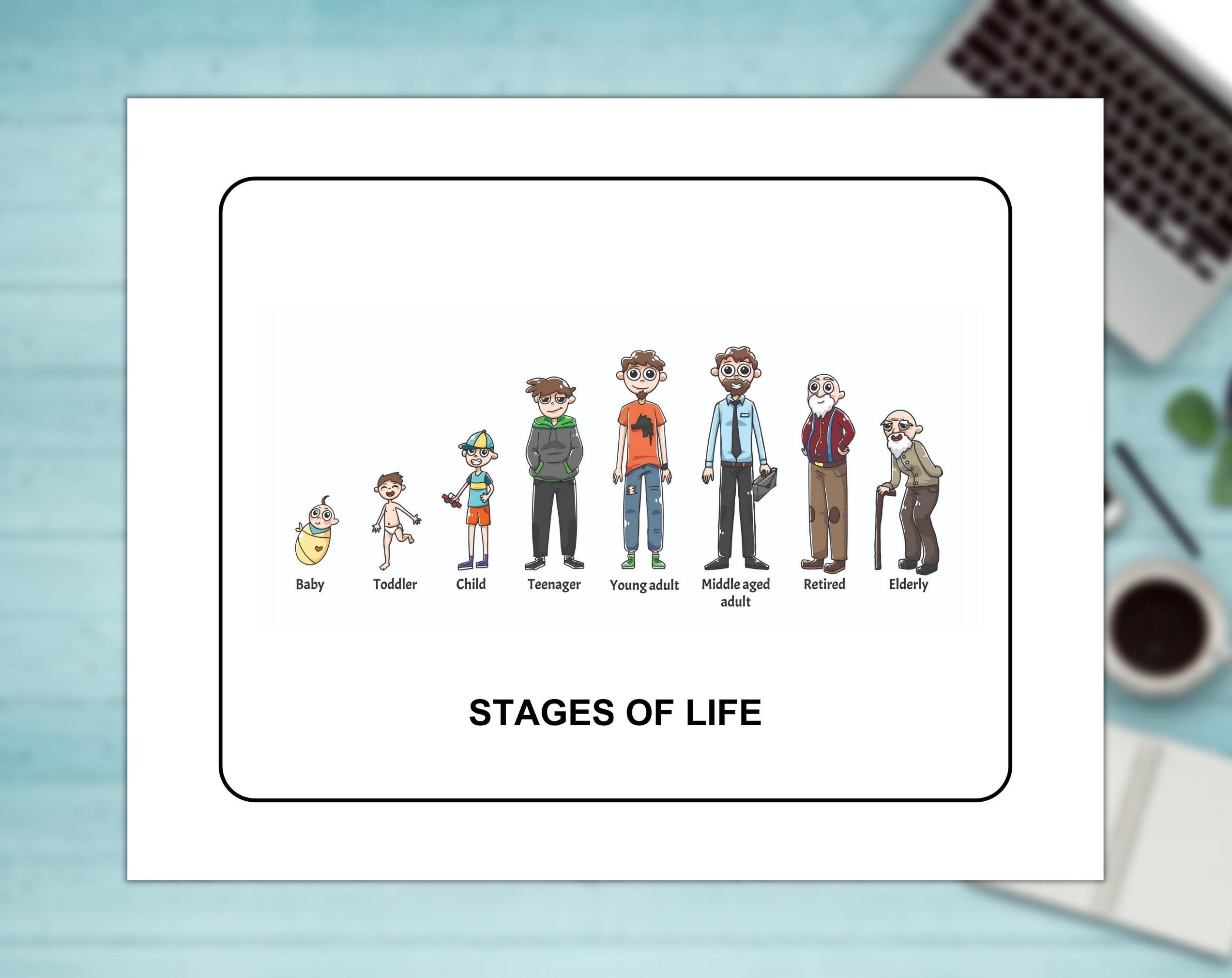 Printable Human Stages of Life Flash Cards | Montessori Cards | 8 ...