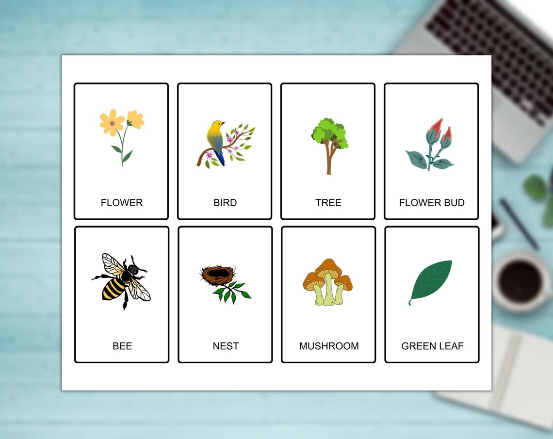Printable Spring Flash Cards | Montessori Cards | 24 Nomenclature Flash ...
