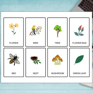 Printable Spring Flash Cards | Montessori Cards | 24 Nomenclature Flash ...