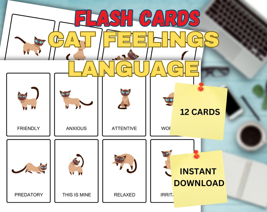 Printable Cat Feelings Language Flash Cards | Montessori Cards | 12 ...