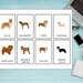 Printable Dog Breeds Flash Cards | Montessori Cards | 28 Nomenclature ...