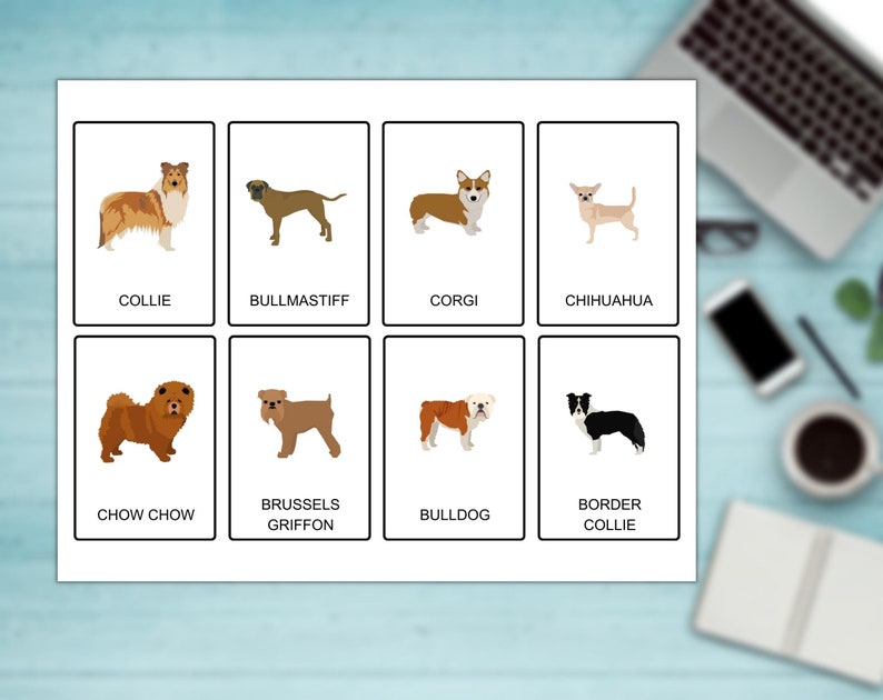 Dog Breeds Flash Cards | Montessori Language Learning (PDF Printable ...