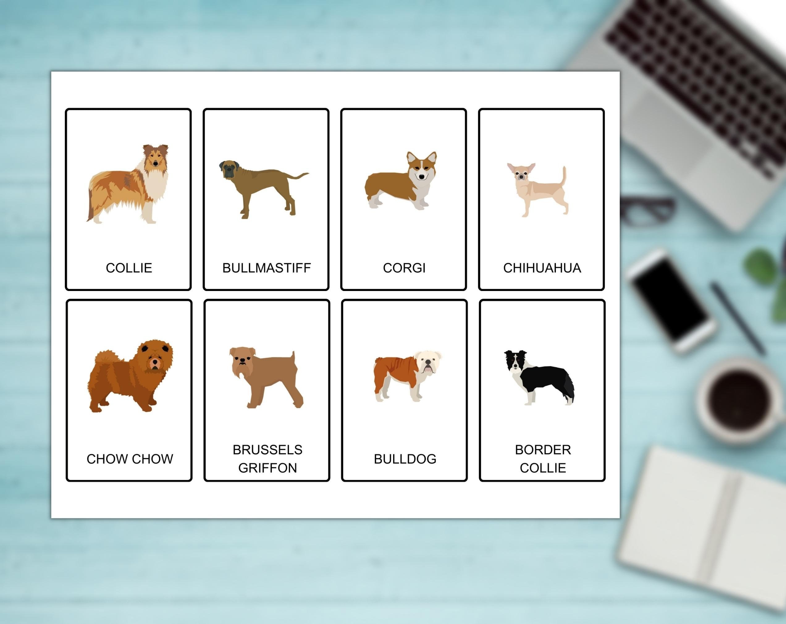 Printable Dog Breeds Flash Cards | Montessori Cards | 28 Nomenclature ...