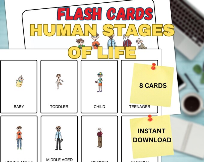 STAGES of HUMAN LIFE • 22 Montessori Cards • Flash Cards Nomenclature ...