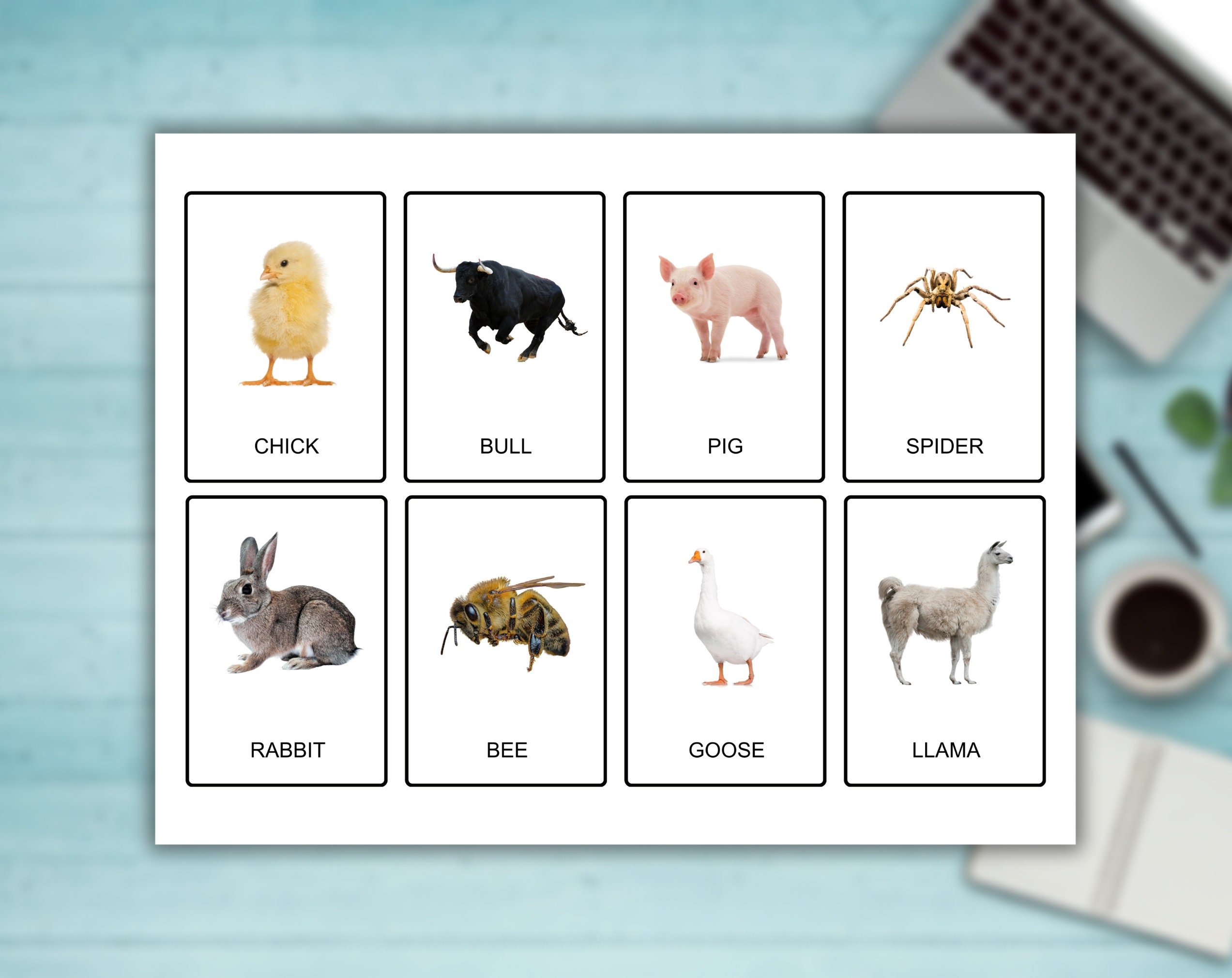 Printable Farm Animals Flash Cards | Montessori Cards | 24 Nomenclature ...
