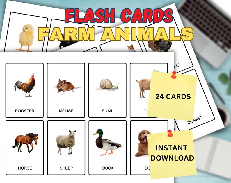 Printable Farm Animals Flash Cards Montessori Cards 24 Nomenclature ...