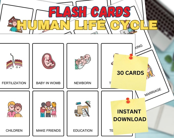 STAGES of HUMAN LIFE • 22 Montessori Cards • Flash Cards Nomenclature ...