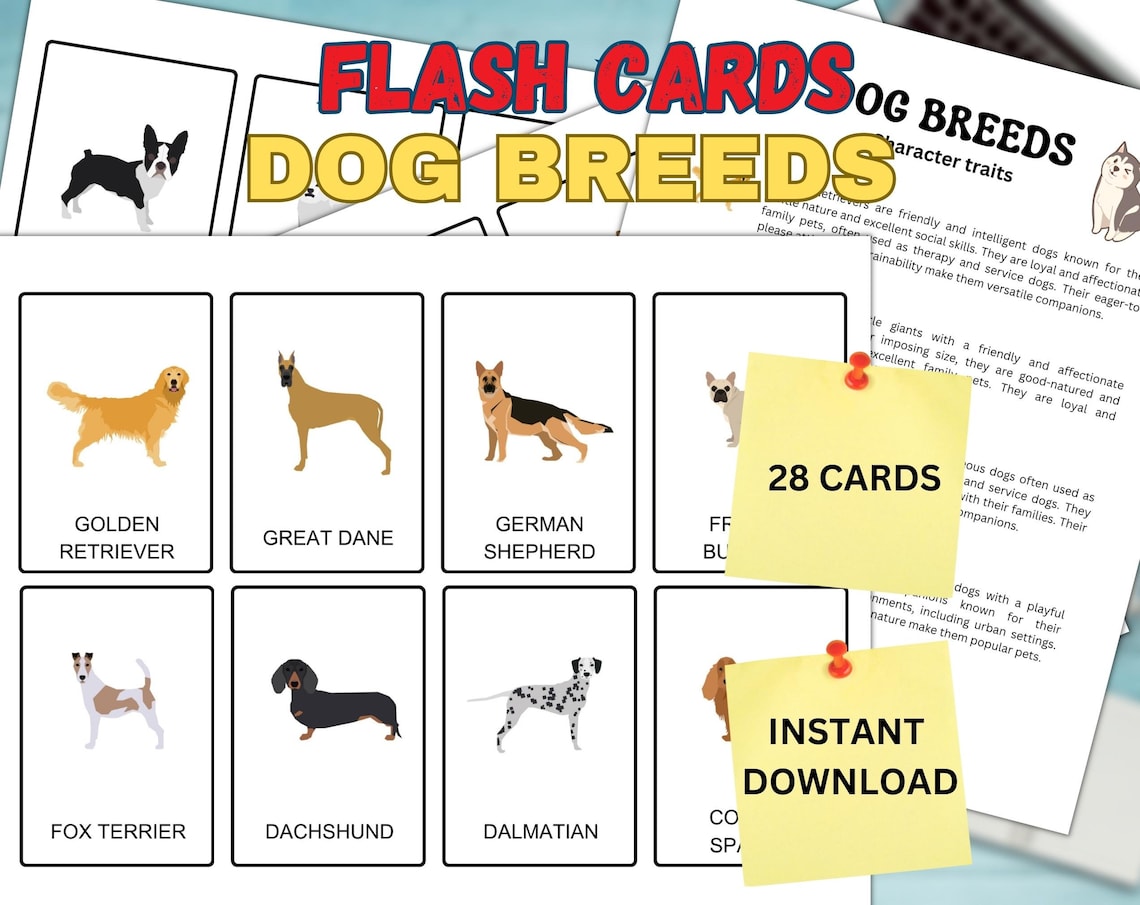 Printable Dog Breeds Flash Cards | Montessori Cards | 28 Nomenclature ...