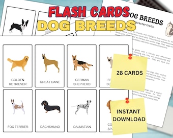 Printable Dog Feelings Language Flash Cards | Montessori Cards | 12 ...