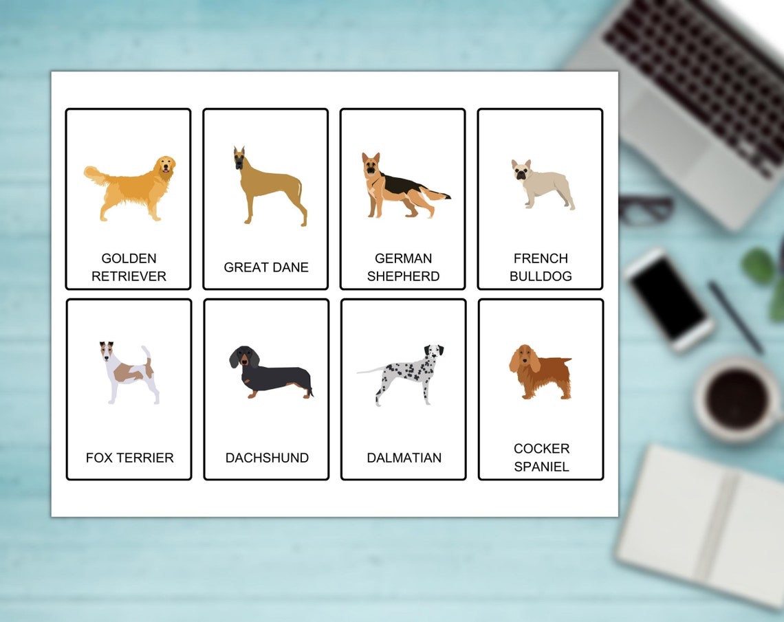 Printable Dog Breeds Flash Cards | Montessori Cards | 28 Nomenclature ...