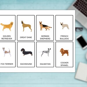 Printable Dog Breeds Flash Cards | Montessori Cards | 28 Nomenclature ...
