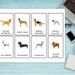 Printable Dog Breeds Flash Cards | Montessori Cards | 28 Nomenclature ...