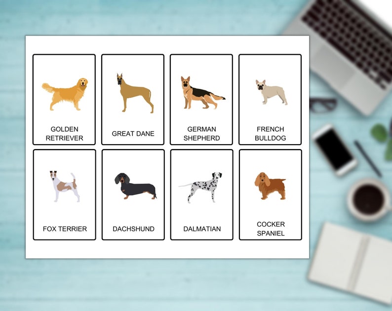 Printable Dog Breeds Flash Cards | Montessori Cards | 28 Nomenclature ...