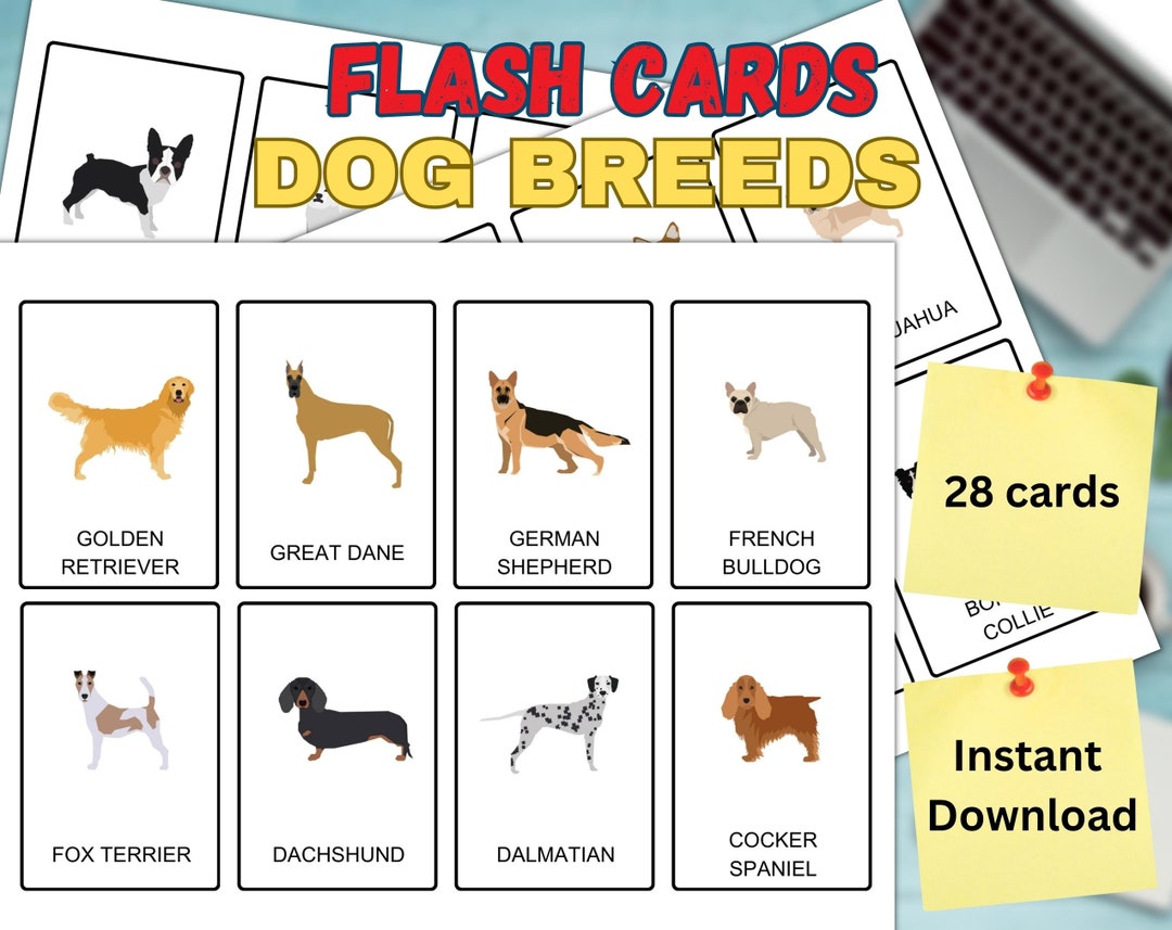 Printable Dog Breeds Flash Cards Montessori Cards 24 - Etsy