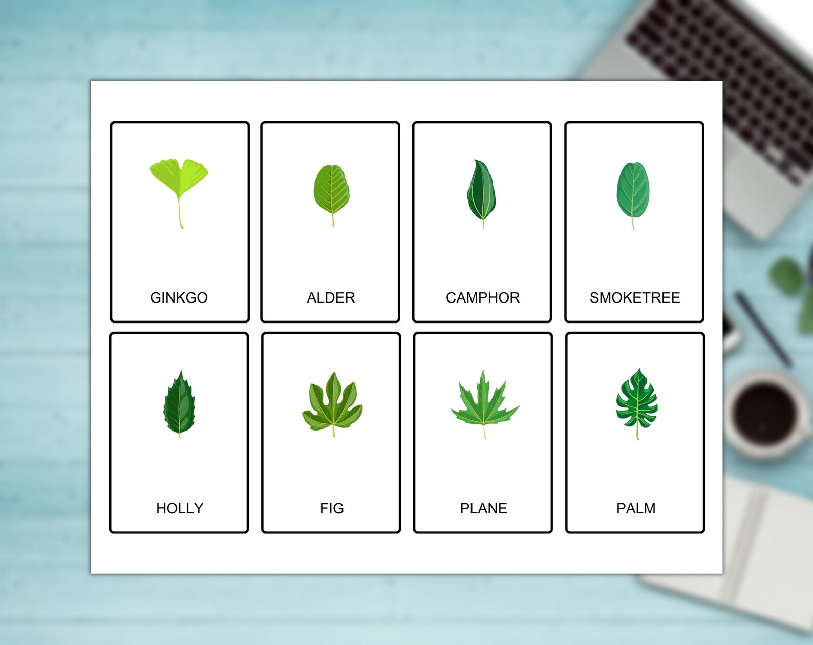 Printable Tree Leaves Flash Cards | Montessori Cards | 32 Nomenclature ...