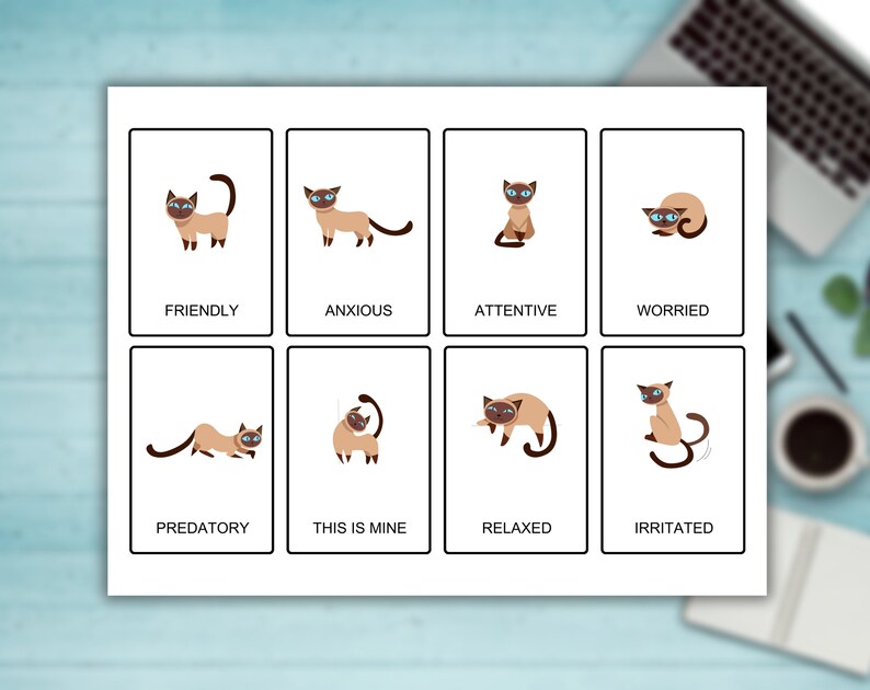 Printable Cat Feelings Language Flash Cards Montessori Cards 12 ...