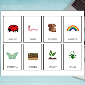 Printable Spring Flash Cards | Montessori Cards | 24 Nomenclature Flash ...