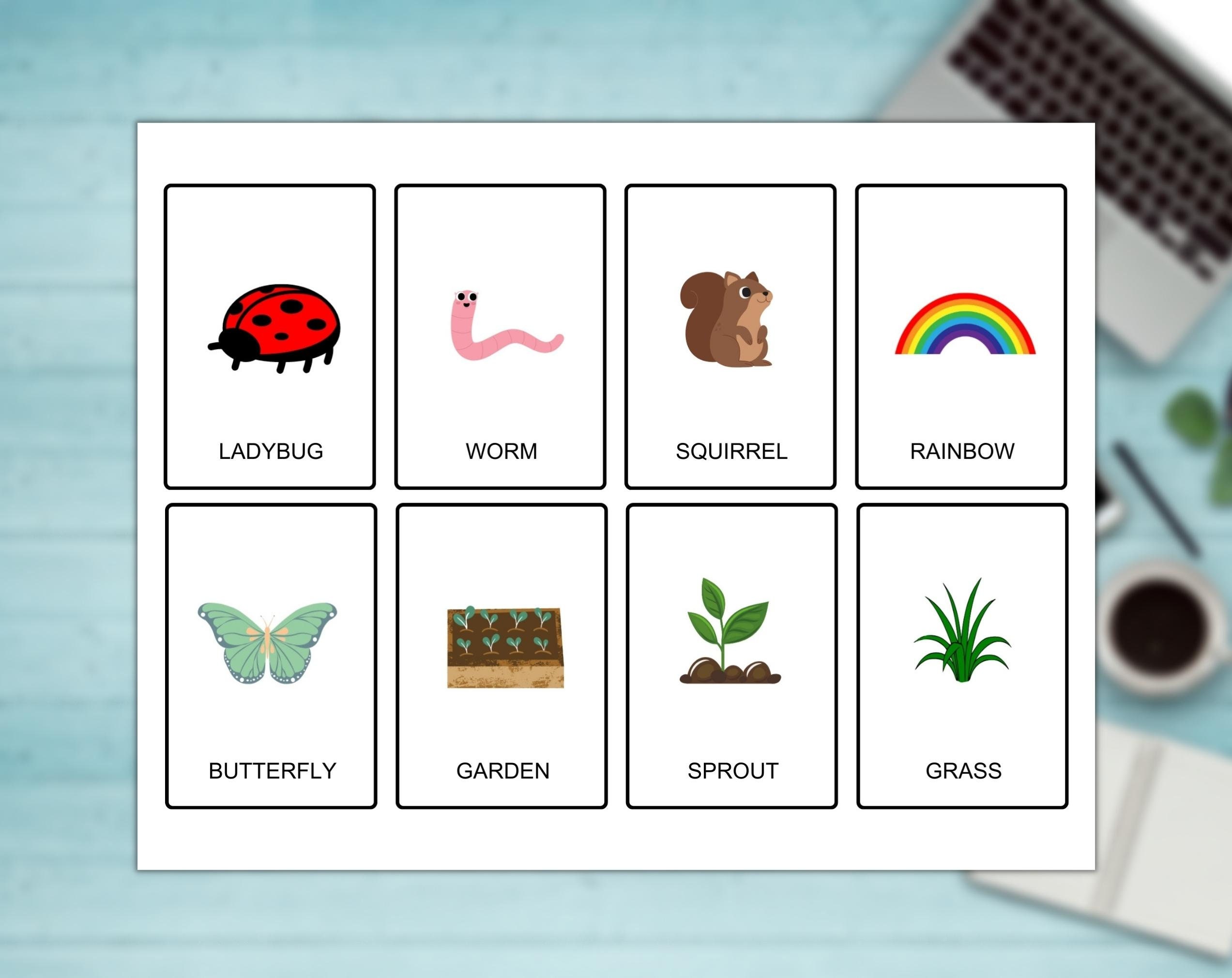 Printable Spring Flash Cards Montessori Cards 24 Nomenclature Flash ...