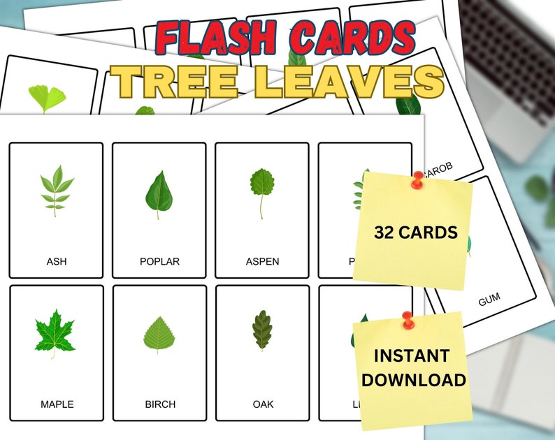 Printable Tree Leaves Flash Cards Montessori Cards 32 Nomenclature ...