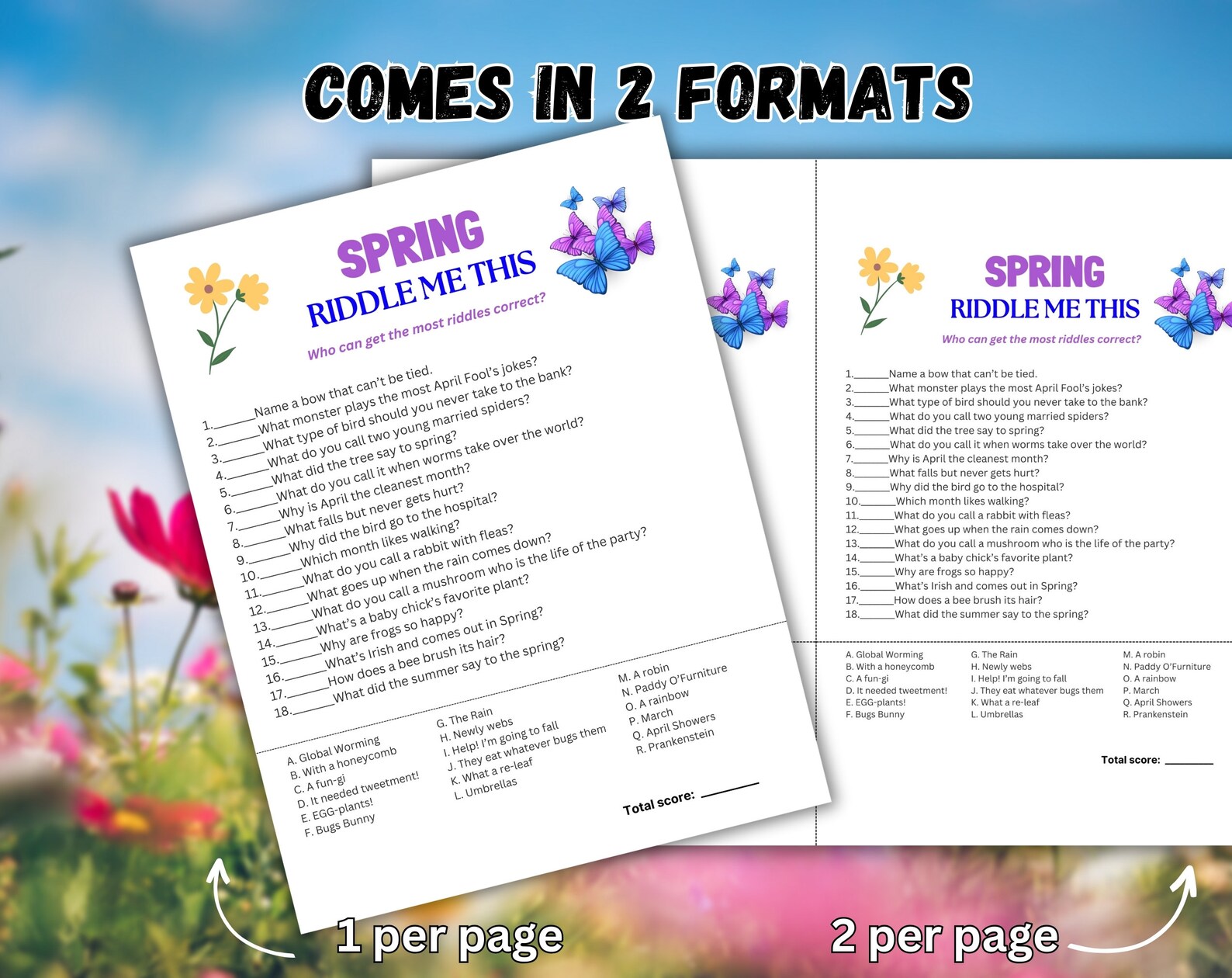 Printable Spring Riddle Me This Game | Spring Activity for Kids and ...