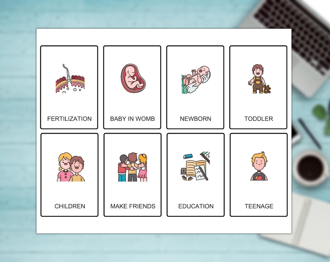Printable Human Life Cycle Flash Cards | Montessori Cards | 30 ...