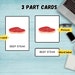 Dog Feelings Flash Cards | Montessori Language Learning (PDF Printable ...