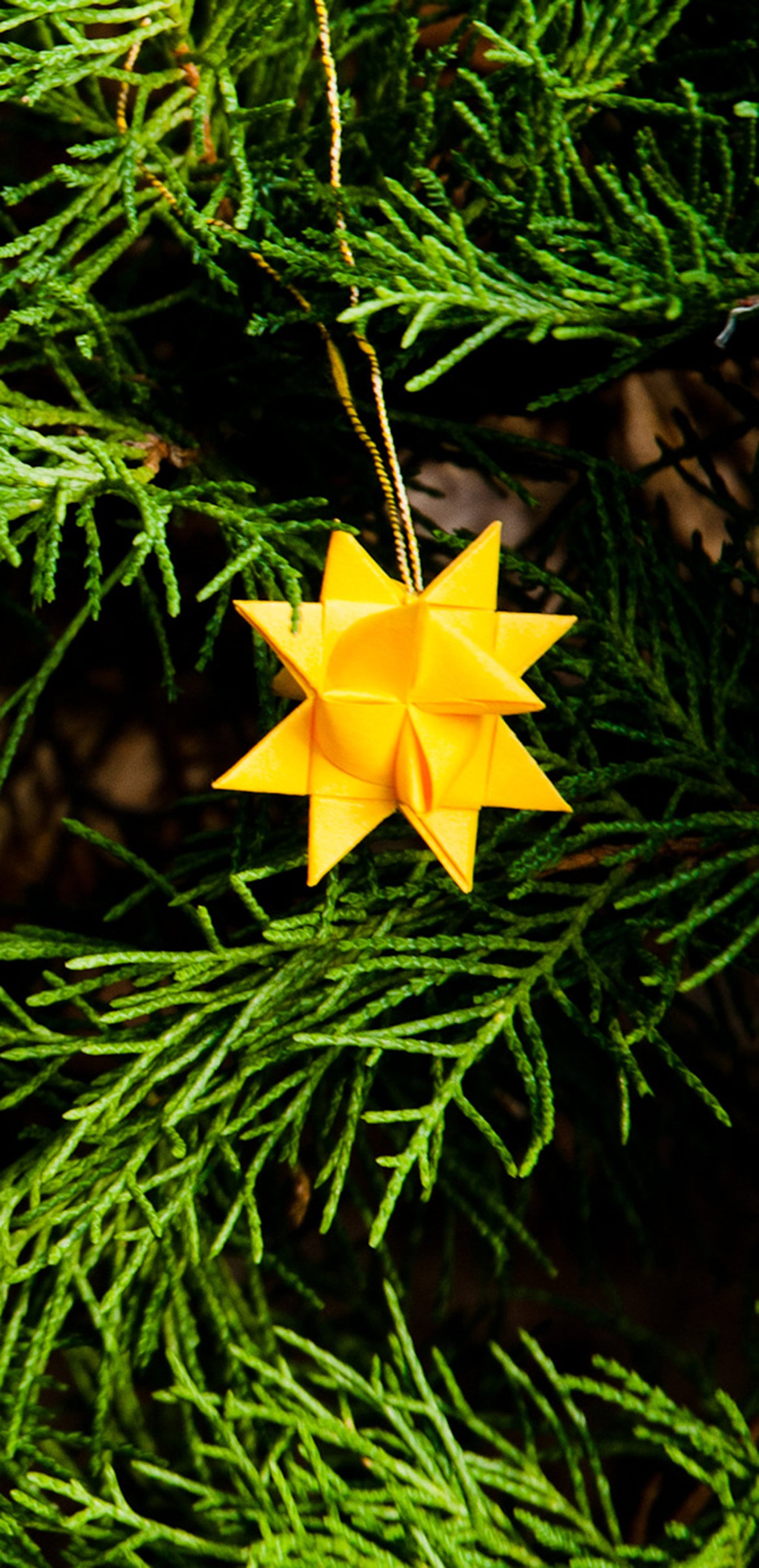 Origami Christmas 3D Paper Star - Printable Template and Instructions ...