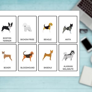 Printable Dog Breeds Flash Cards | Montessori Cards | 28 Nomenclature ...