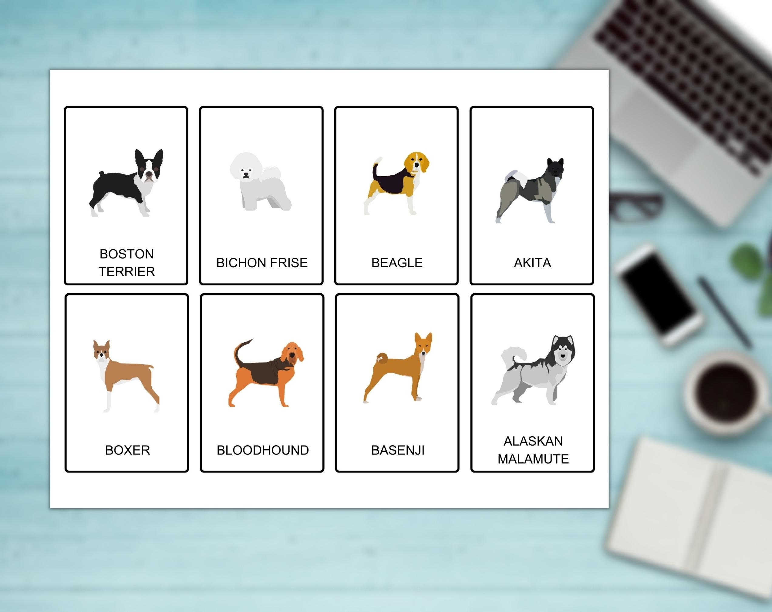 Printable Dog Breeds Flash Cards | Montessori Cards | 28 Nomenclature ...