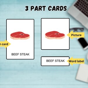 Printable Spring Flash Cards | Montessori Cards | 24 Nomenclature Flash ...