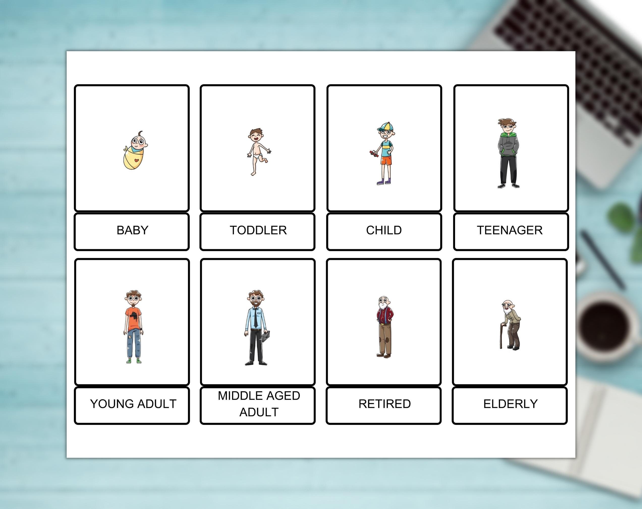 Printable Human Stages of Life Flash Cards Montessori Cards 8 ...