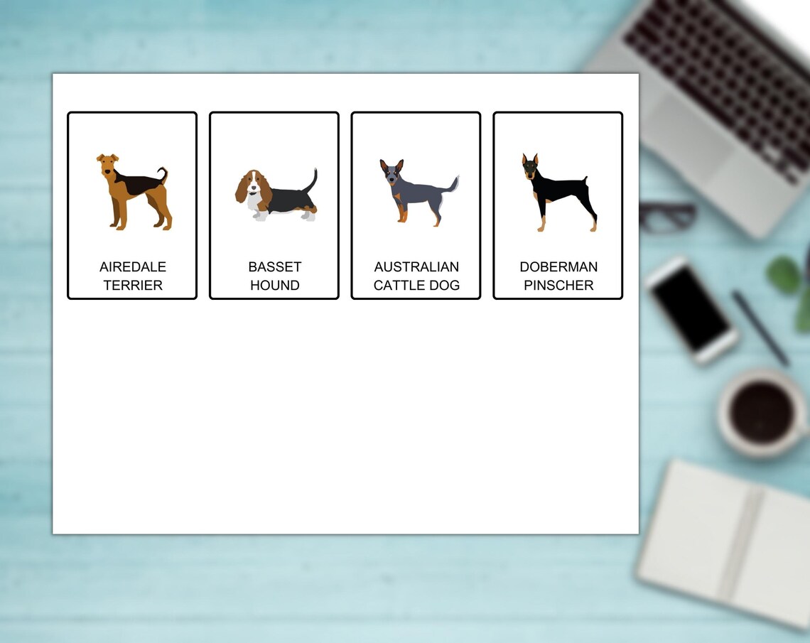 Printable Dog Breeds Flash Cards | Montessori Cards | 28 Nomenclature ...