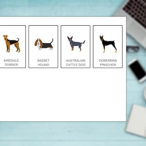 Printable Dog Breeds Flash Cards | Montessori Cards | 28 Nomenclature ...