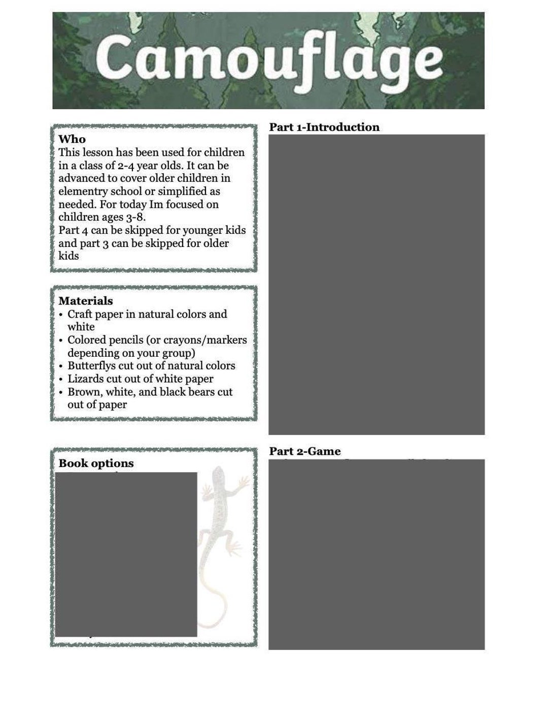 Camouflage Nature Lesson Plan for Teachers or Parents - Etsy