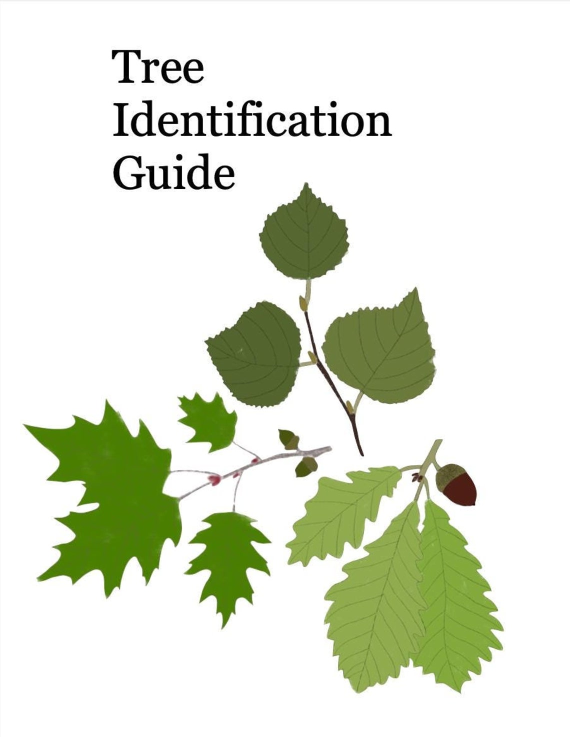 Tree Identification Guide - Etsy