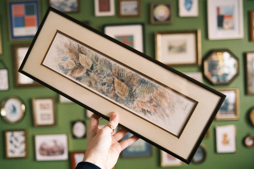 Vintage Original Botanical Watercolor - Signed Collopy, Framed Vintage ...