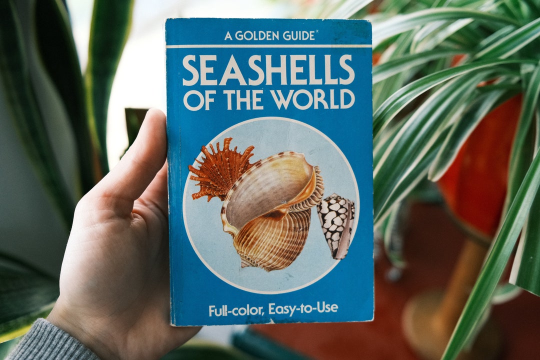 Vintage Golden Field Guide to Seashells 1990 - Etsy